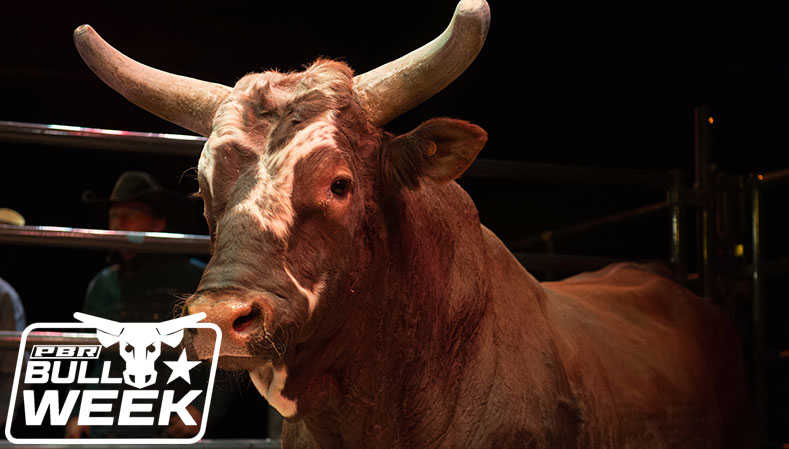 PBR | From the Vault: PBR’s World Champion Bulls