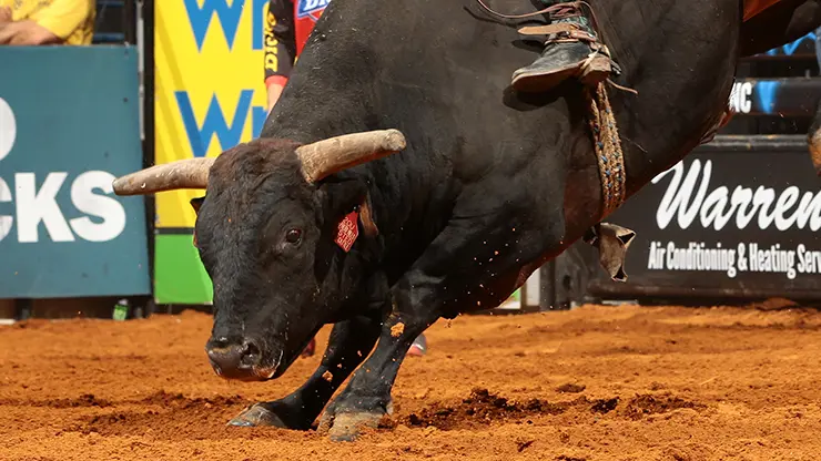 PBR | In the bull pen: Albuquerque