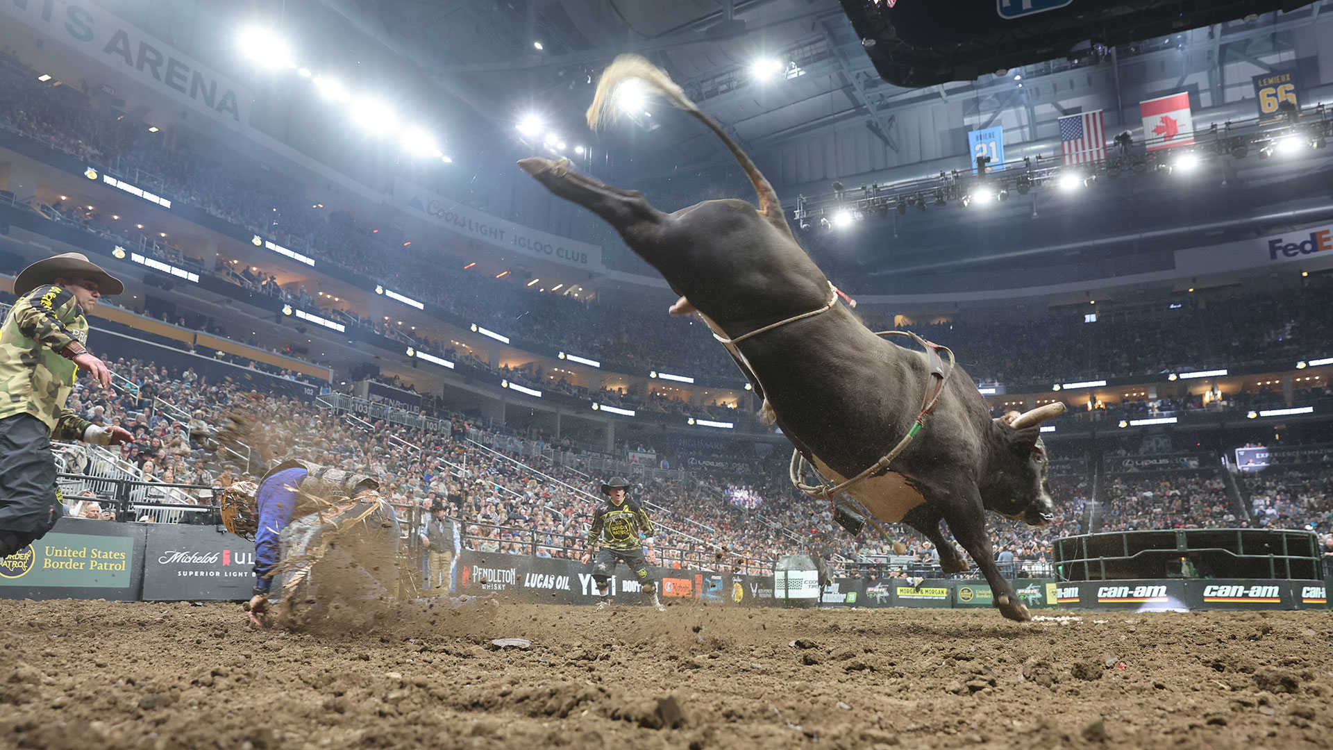 PBR | Magic Potion breaks Cool Whip’s record streak with 49th ...