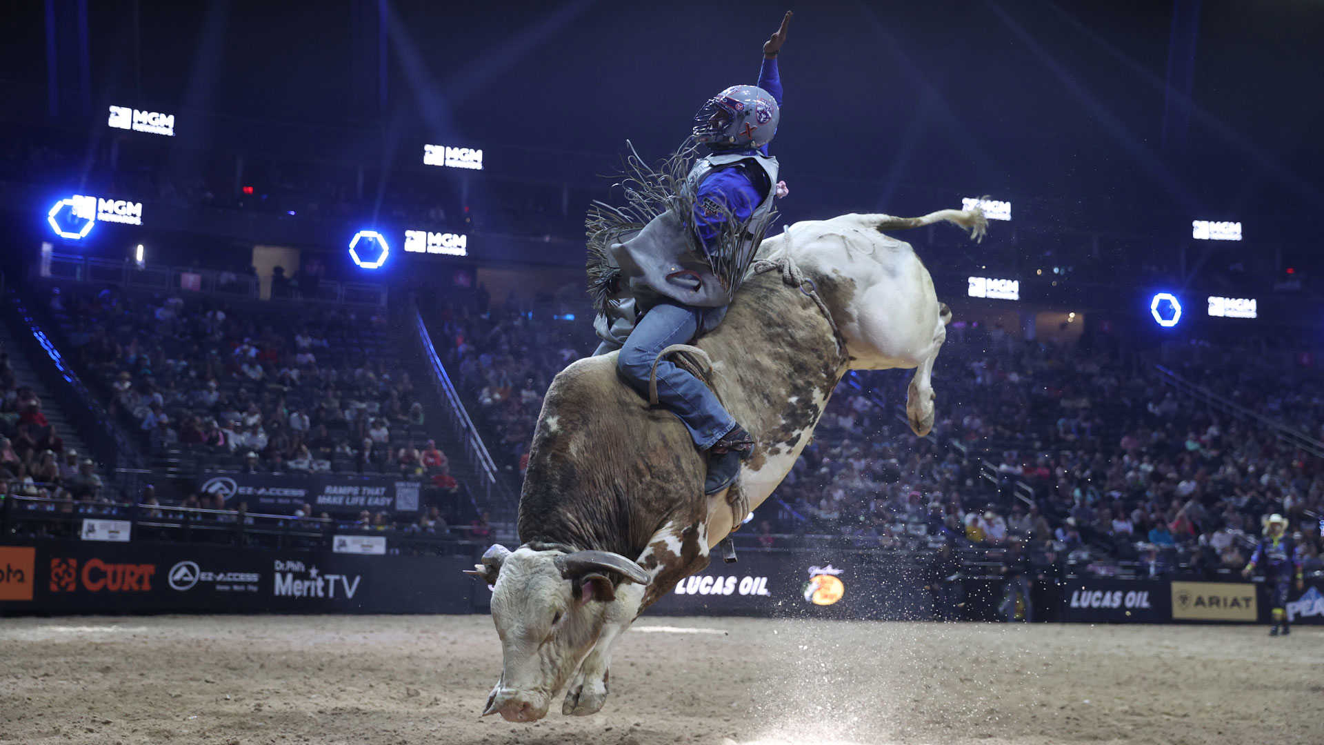 PBR | BS Cattle Company’s Bang For Your Buck Sale set to invade Fort ...