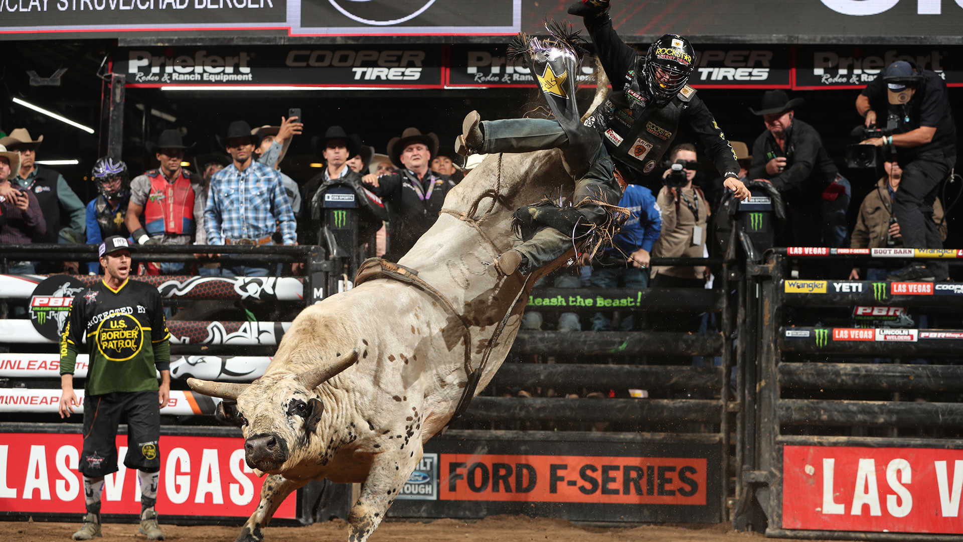 PBR | By the numbers: What the World Champion Bull contenders need to ...