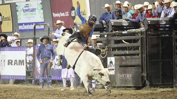 PBR | Australian Wilson wins first night of bull riding at NHSFR