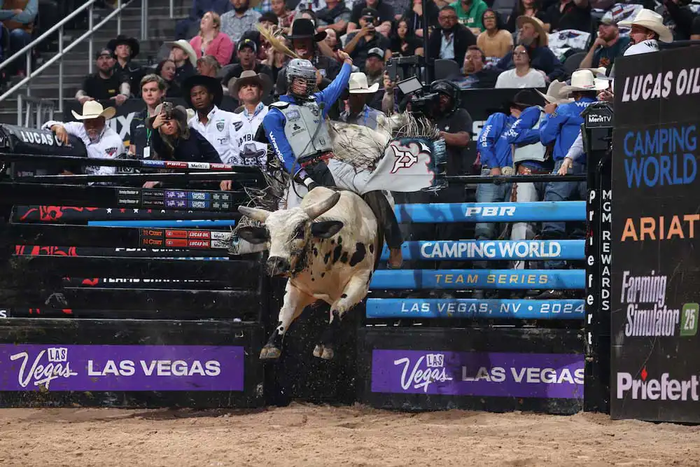 PBR | New York Mavericks PBR | New York Mavericks