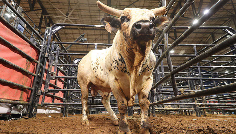 PBR | Remembering Smooth Operator (2010-2022)