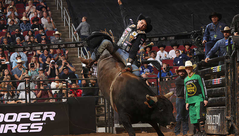 PBR | Surging Texas Rattlers defeat Arizona Ridge Riders for ninth ...