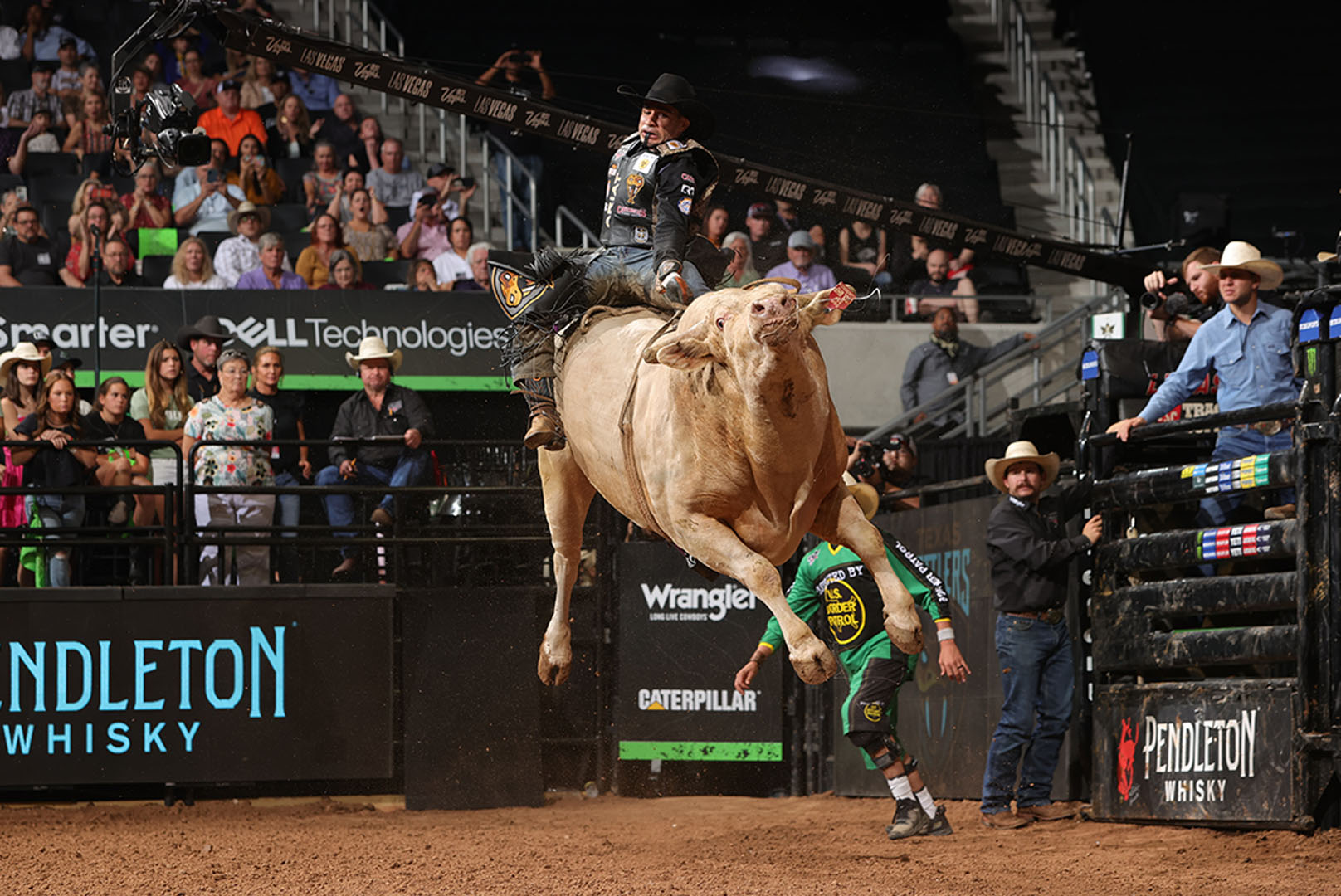 PBR | Behind the Lens: PBR Team Series YETI Fan Favorite Bull Finalists