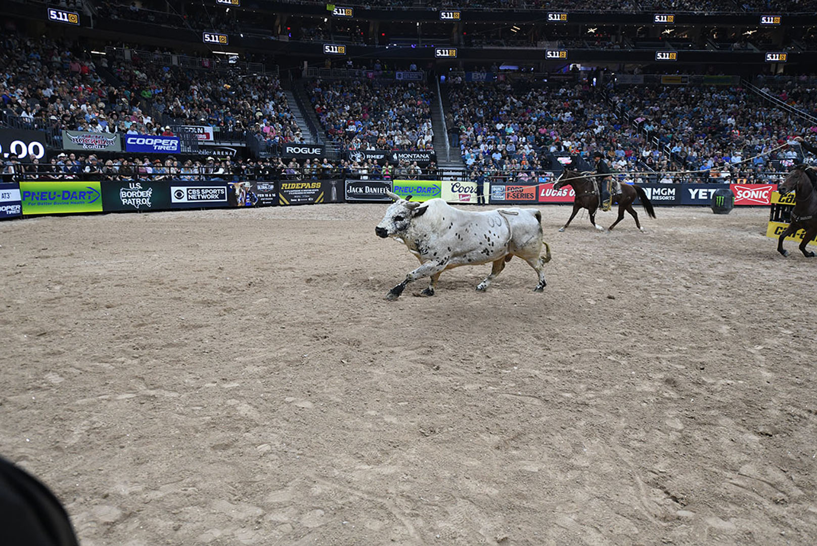 PBR | 12 Days of Christmas: Smooth Operator is the fifth back-to-back ...