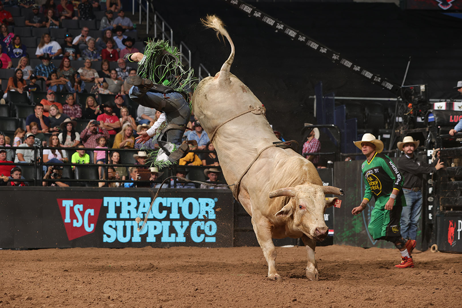 PBR | Behind the Lens: PBR Team Series YETI Fan Favorite Bull Finalists
