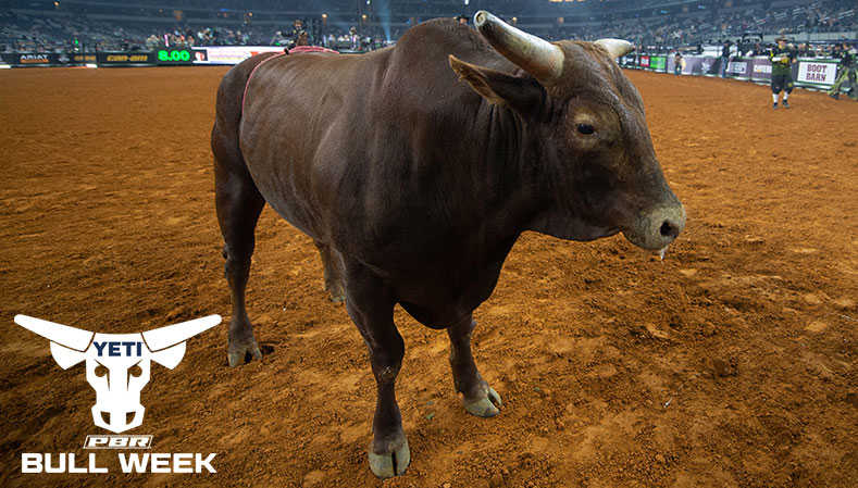 PBR | Woopaa bucking in memory – and celebration – of Larry Barker’s ...