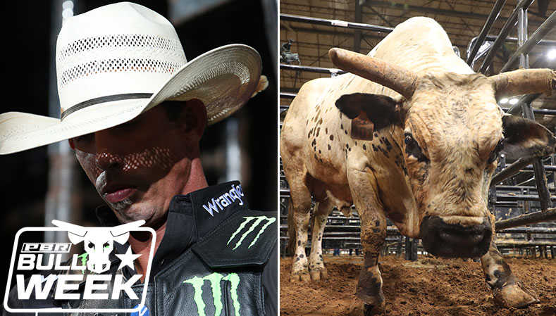 PBR | Mauney’s next World Champion Bull to conquer? Smooth Operator