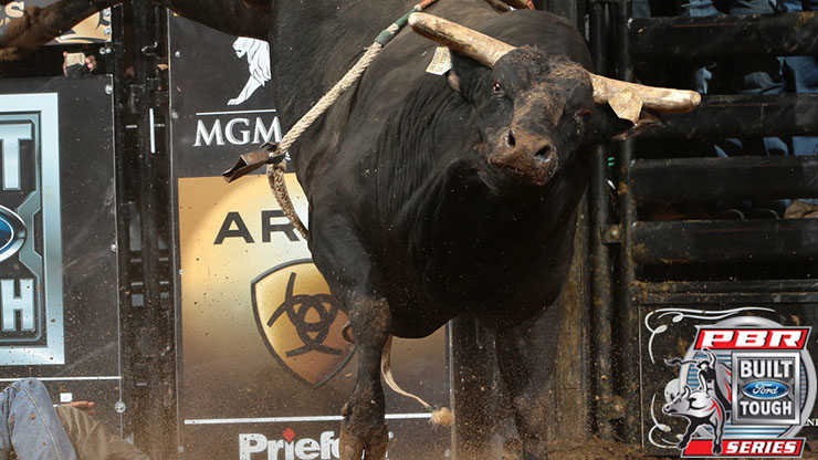 PBR | In the bull pen: Anaheim