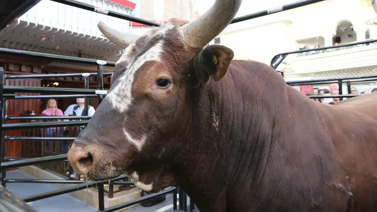 PBR | In the bull pen: Kansas City