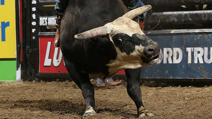 PBR | In the bull pen: Boise