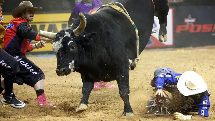 PBR | In the bull pen: New York