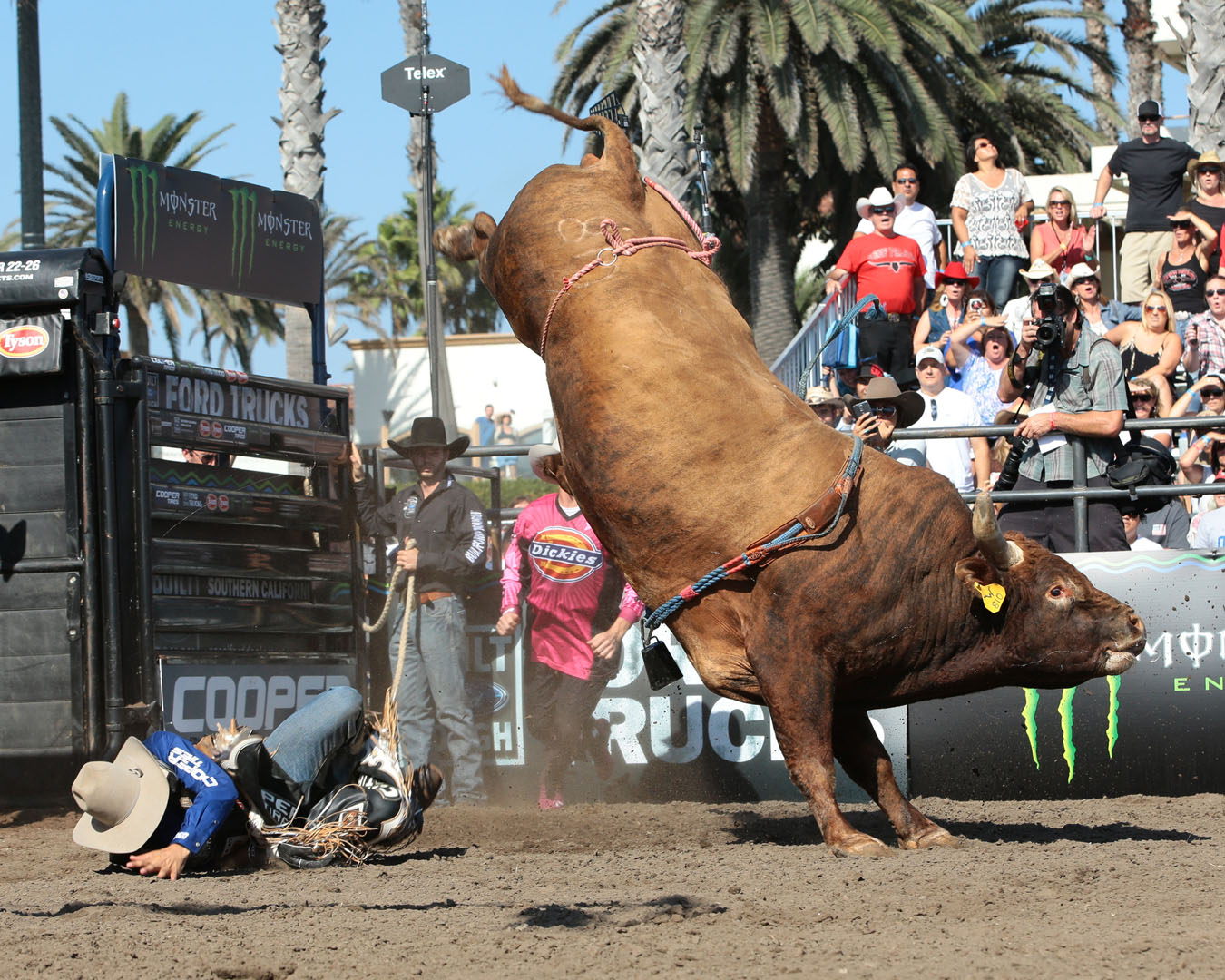 PBR | 2014 Bull on the Beach