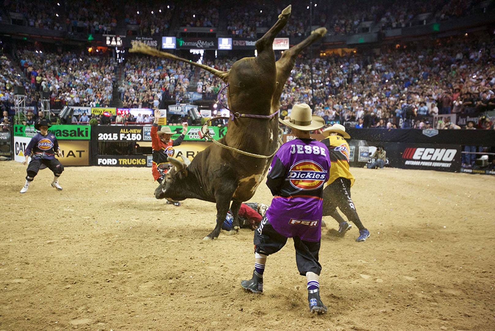 PBR | 12 Days of Christmas: Smooth Operator is the fifth back-to-back ...