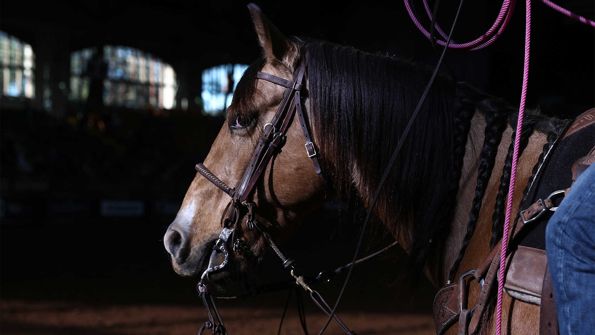 PBR | NextGen Rodeo named exclusive broadcast partner for 2025 ...