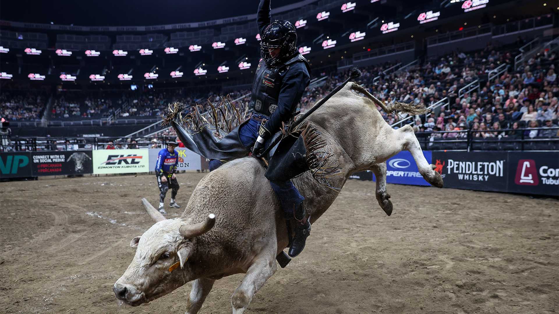 PBR | X6 Ranches reflects on program that earned coveted 2024 PBR ...