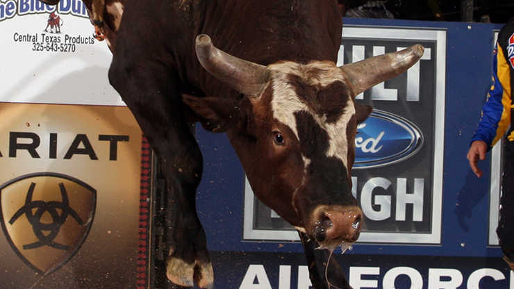 PBR | Bushwacker builds legendary career