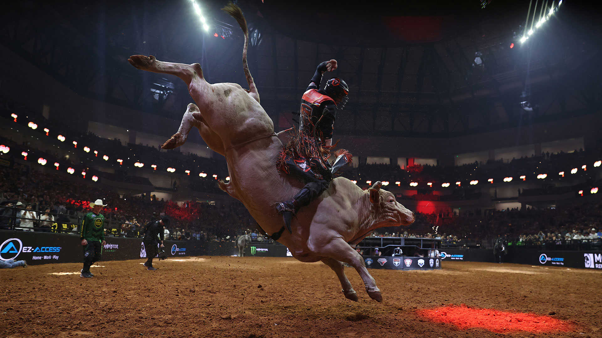 PBR | Vote for the 2024 YETI Fan Favorite Bull