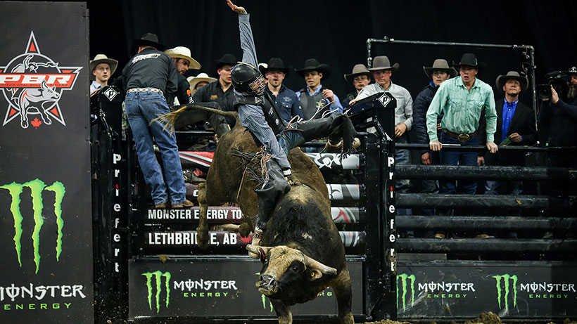 PBR | Bull management paying off for Green