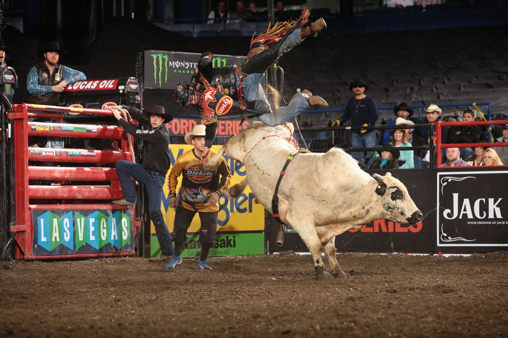 PBR | Top Bull Scores of 2015