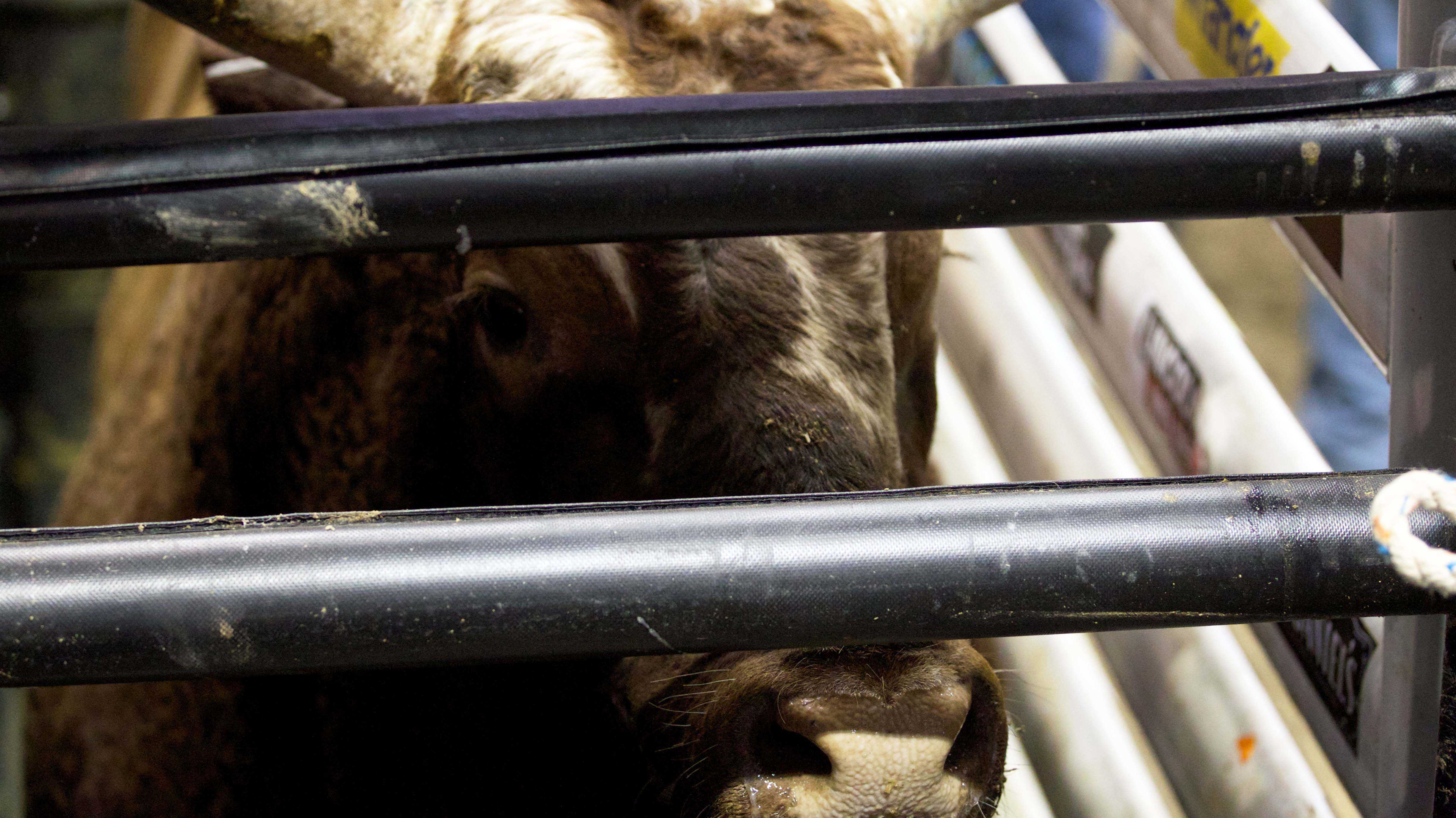 PBR | In the bull pen: Fresno