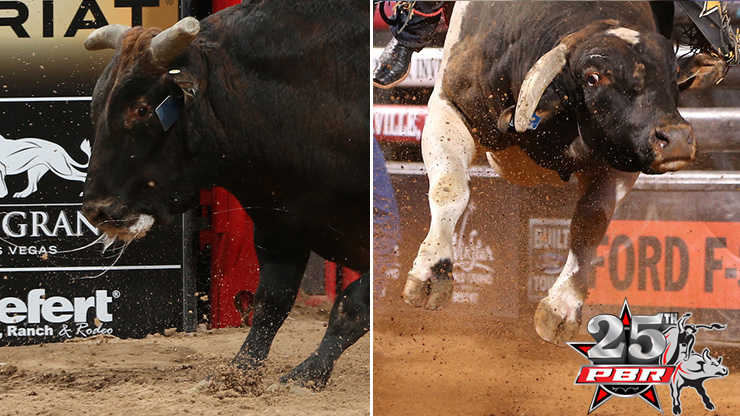 PBR | Scharping’s Phenom Genetics takes ownership of Magic Train and ...