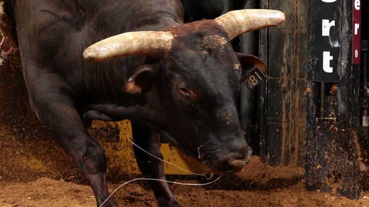 PBR | In the Bull Pen: Iron Cowboy