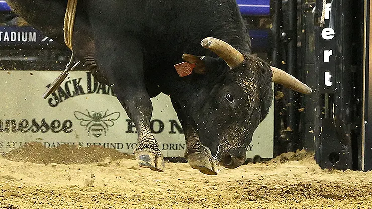 PBR | In the bull pen: Thackerville