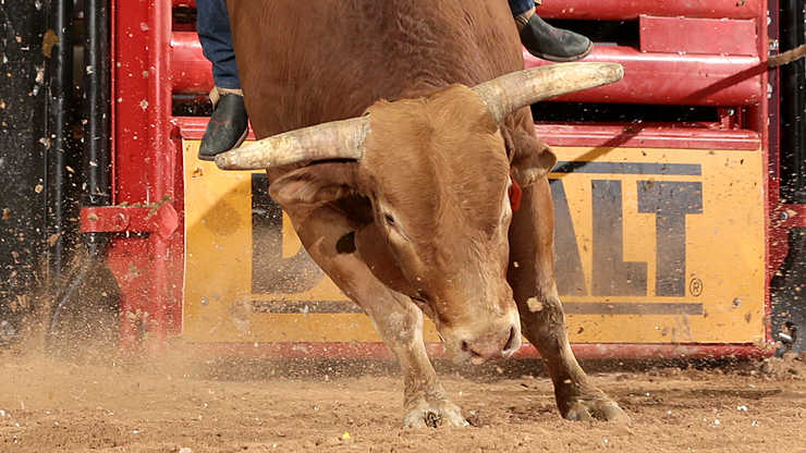 PBR | In the bull pen: Chicago