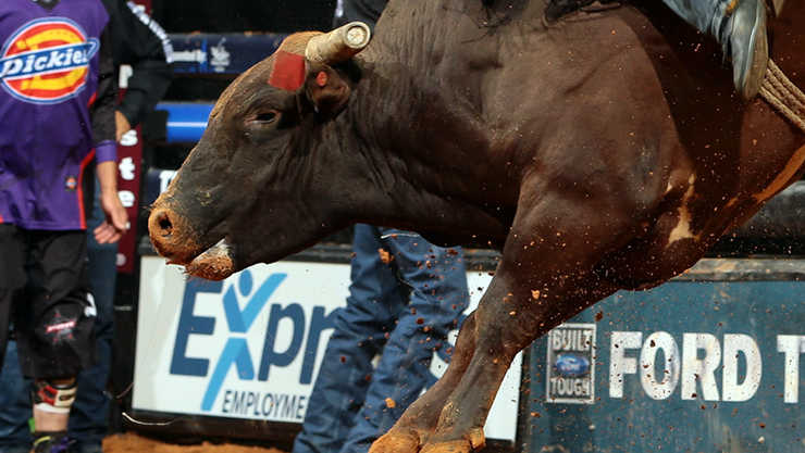 PBR | In the bull pen: Anaheim