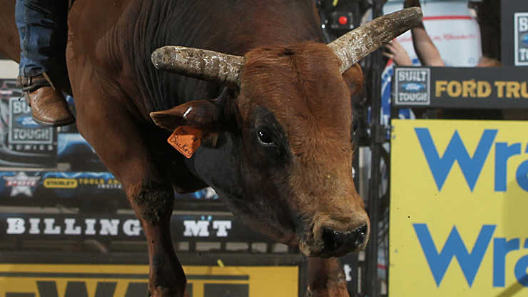 PBR | In the bull pen: Sacramento