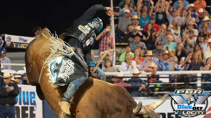PBR | Winners of the 2015 BFTS Summer Break