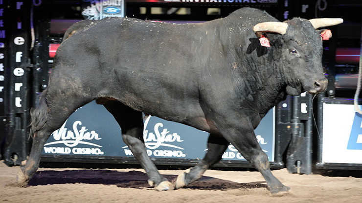PBR | In the bull pen: Fayetteville