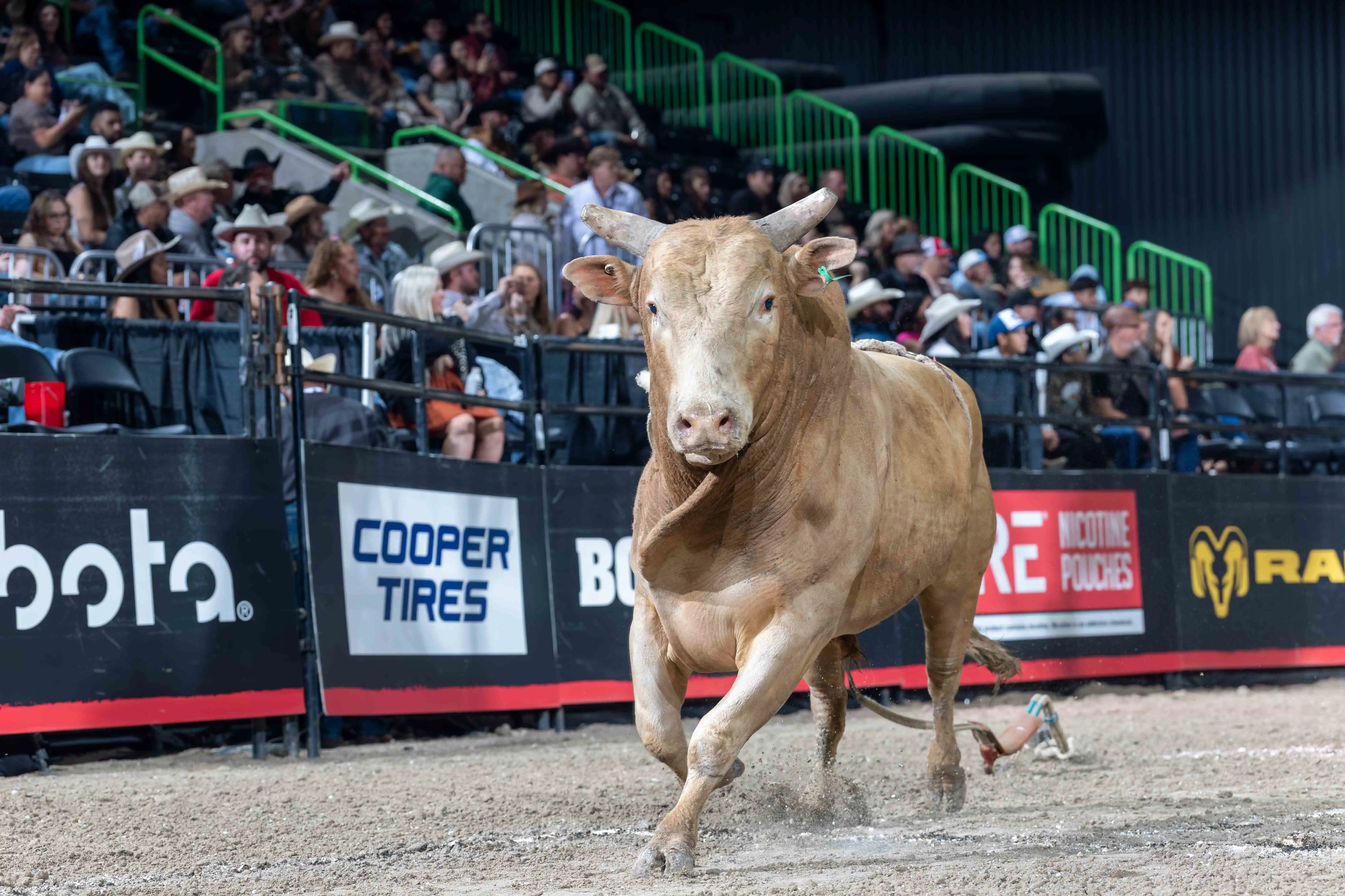 PBR | PBR Hampton