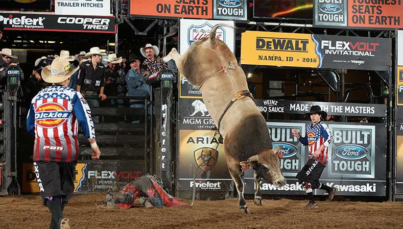 PBR | PBR Bull Week: Celebrating the sport’s three-time World Champion ...