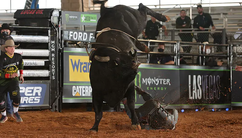 PBR | Flying High Rodeo Company sends bucking bull campaigners to elite ...