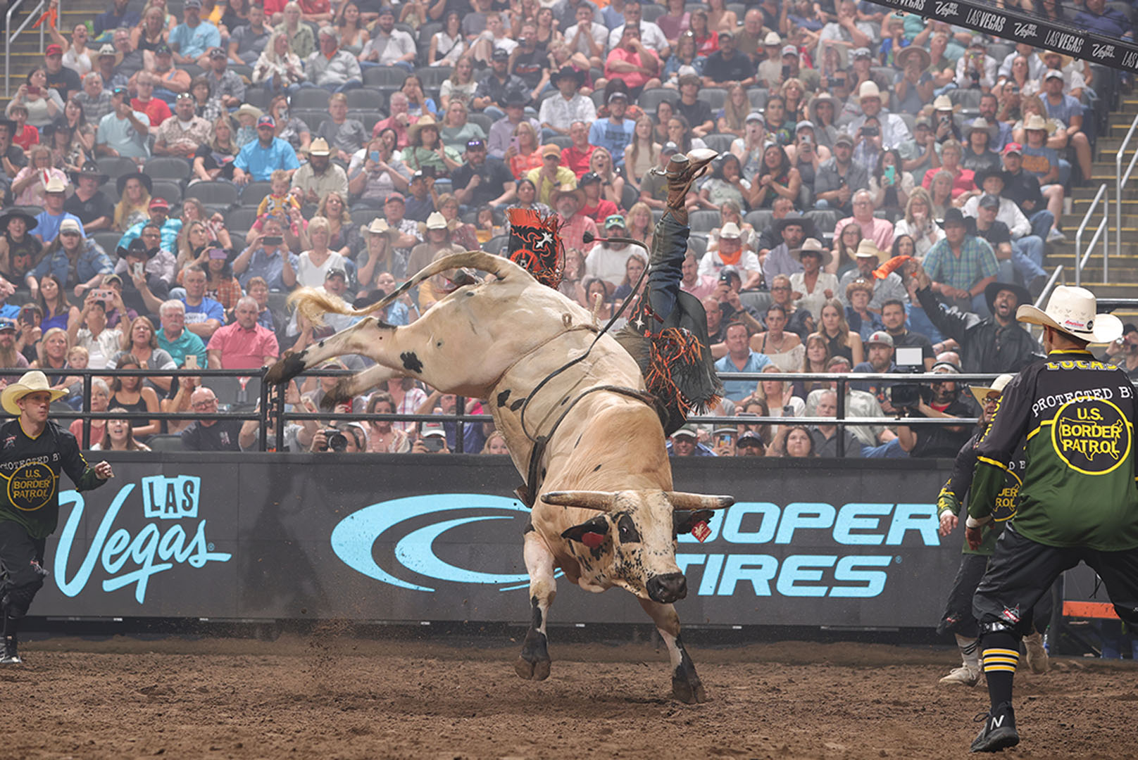 PBR | Behind the Lens: PBR Team Series YETI Fan Favorite Bull Finalists