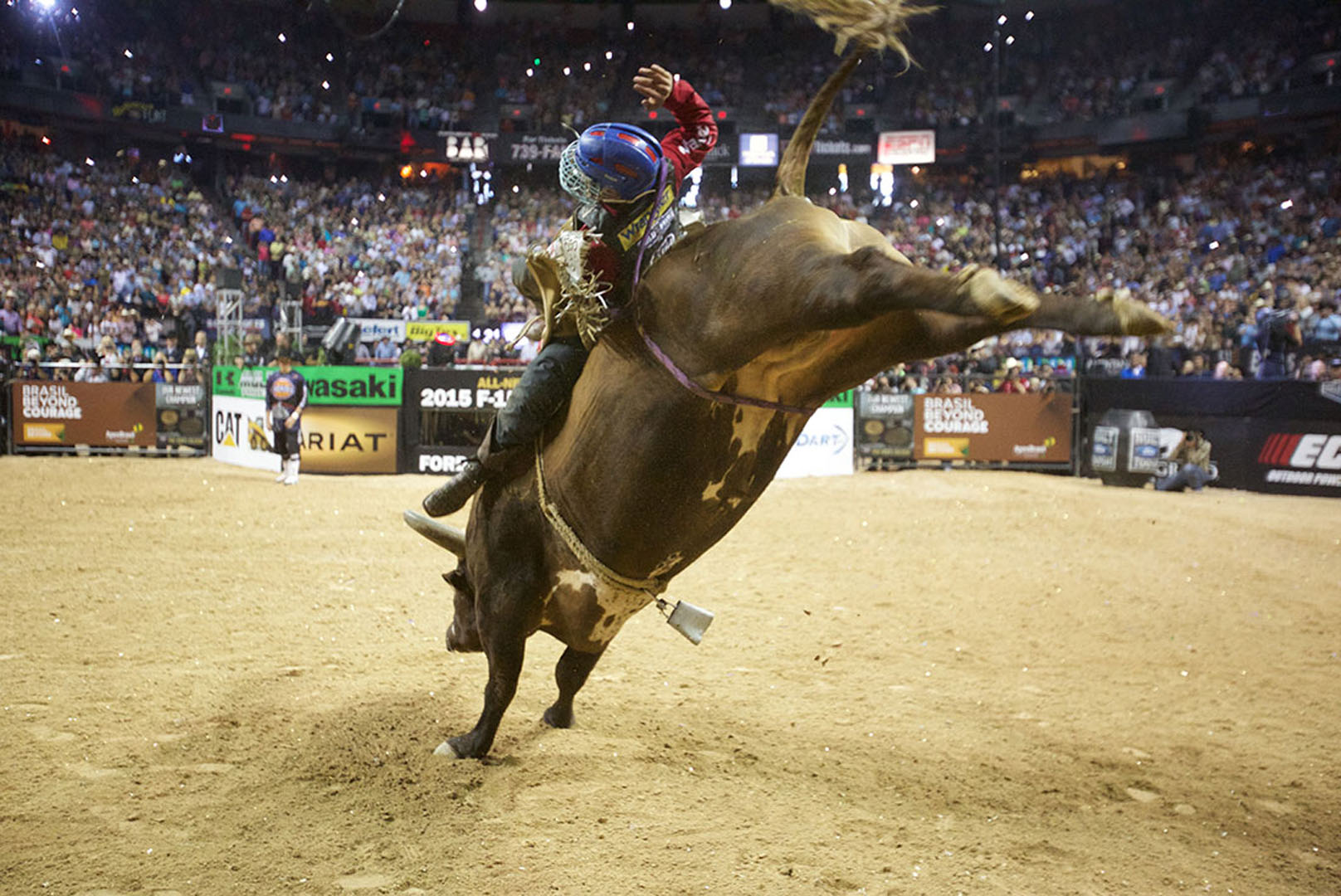 PBR | 12 Days of Christmas: Smooth Operator is the fifth back-to-back ...
