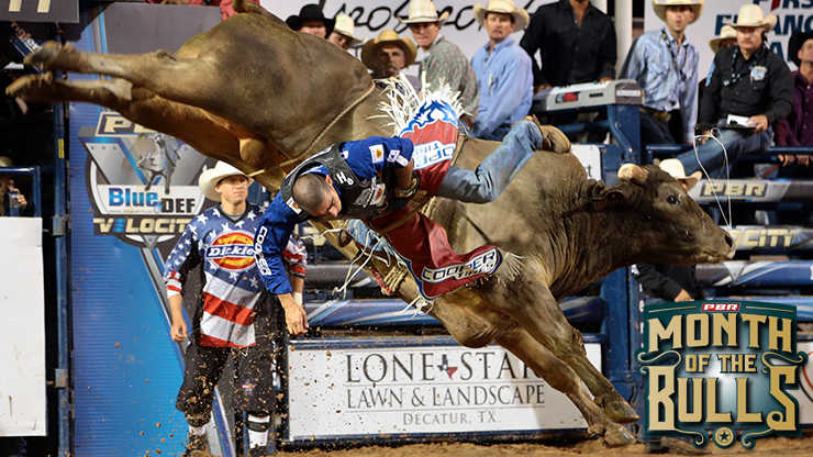 PBR | Lambert breaks down top active bulls