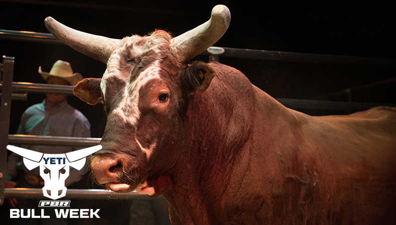 PBR | From the Vault: Looking back at three-time YETI World Champion ...