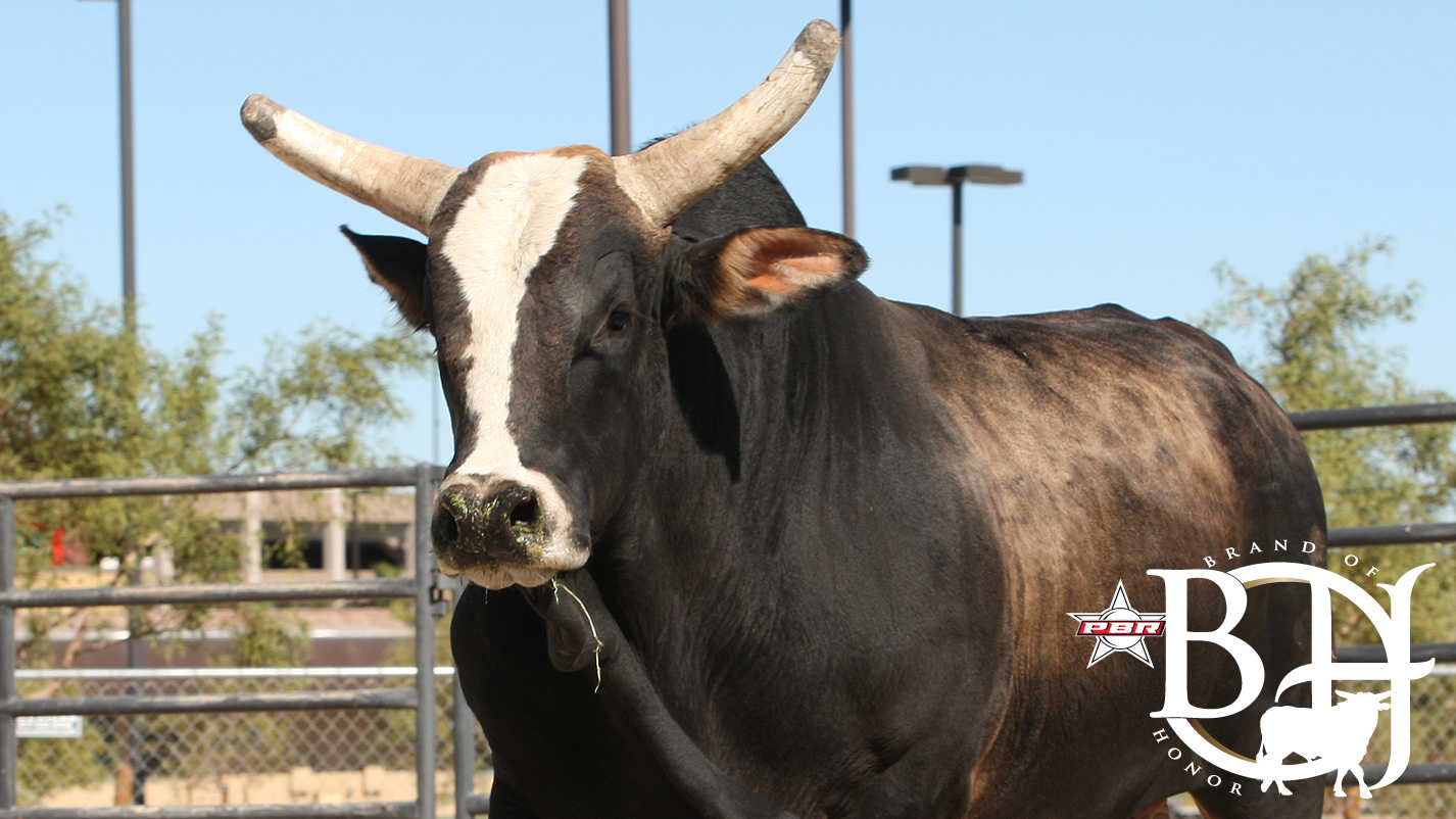 PBR | Deserved honor for legendary Chicken on a Chain