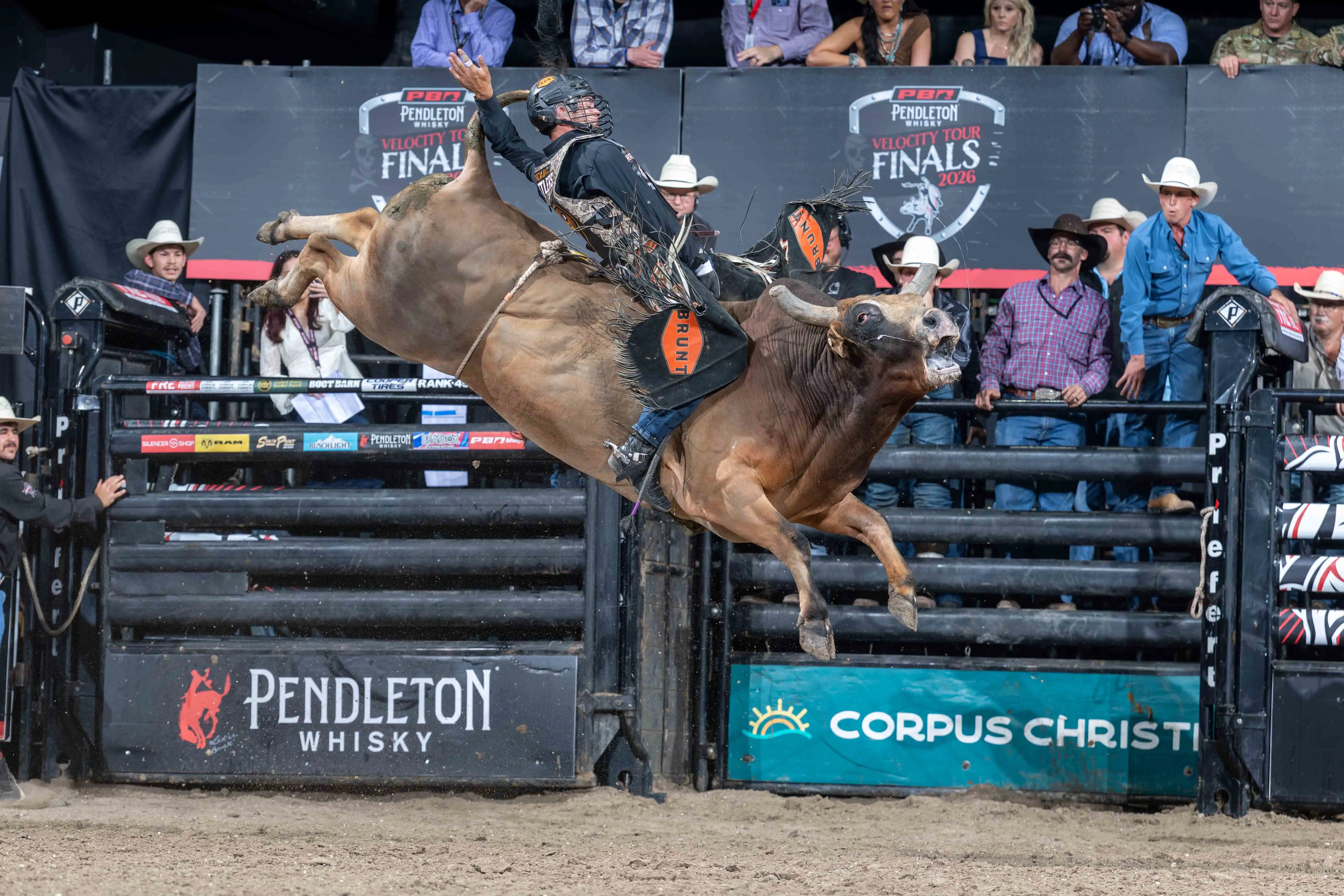 PBR | PBR Hampton