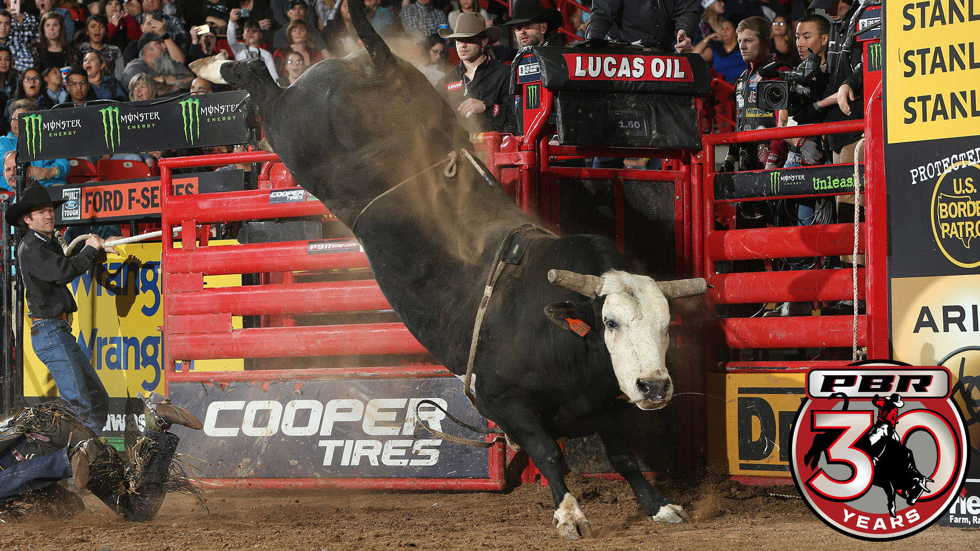 PBR | From the Vault: Pearl Harbor ranks among the bovine greats