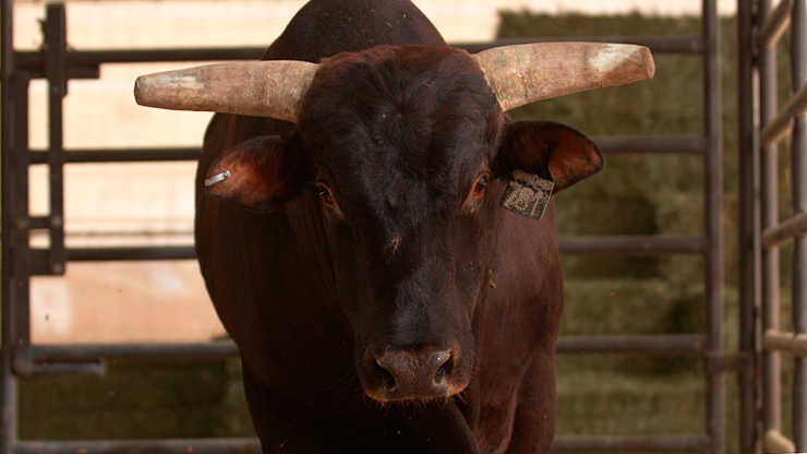 PBR | In the bull pen: Des Moines