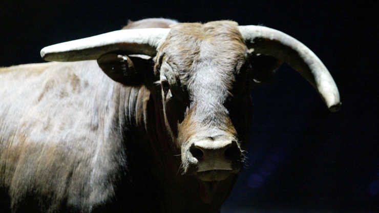 PBR | PBR mourns loss of legendary Little Yellow Jacket