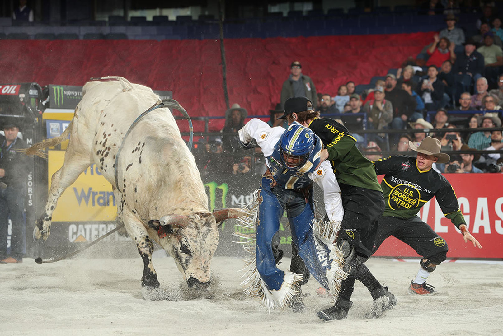 PBR | Best of 2020: Smooth Operator becomes oldest bull to win back-to ...