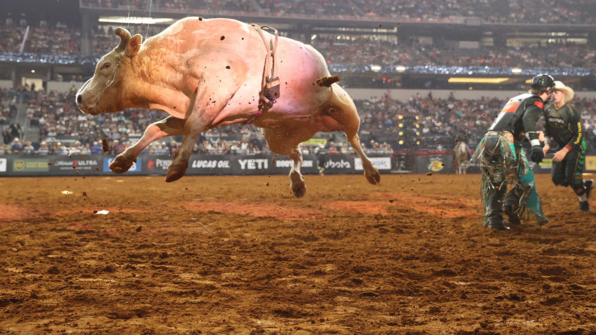 PBR | From the Vault: The day Cool Whip became buckoff royalty