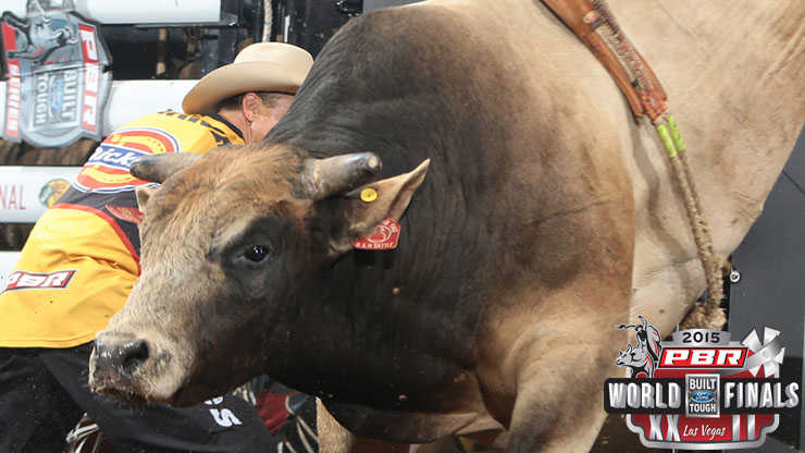 PBR | In the bull pen: World Finals